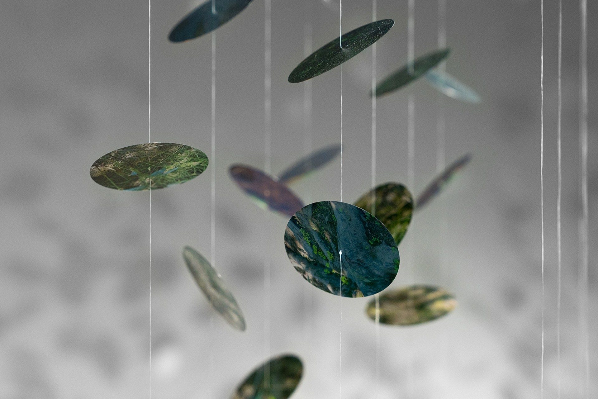 New exhibition by Concordia prof reveals the living territory of ...